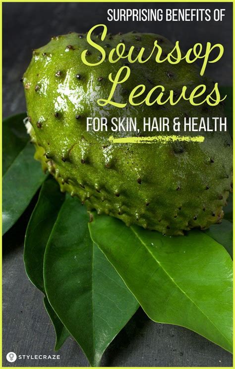 6 Benefits Of Soursop Leaves How To Use And Side Effects Artofit