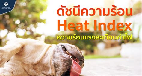ดัชนีความร้อน Heat Index คืออะไร อันตรายแค่ไหน พร้อมวิธีรับมือ Inno