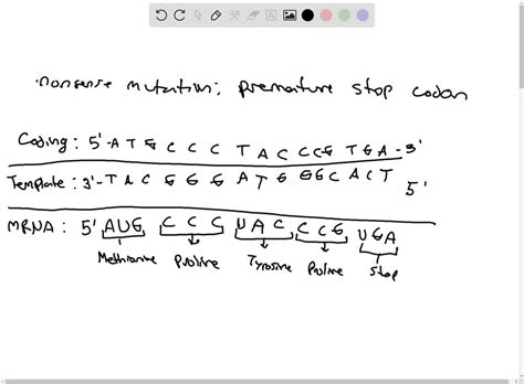 Solved Create A Nonsense Mutation By Making A Single Base Substitution Point Mutation Inthe