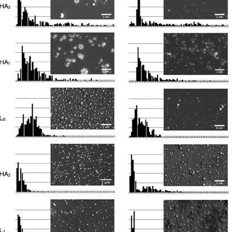 Atomic Force Microscopyelectrostatic Force Microscopy Afmefm Download Scientific Diagram