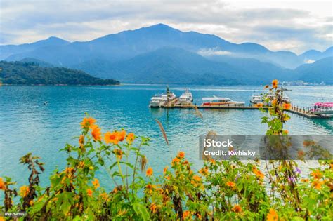 아름 다운 풍경의 썬 문 레이크 산 배경과 노란색 꽃 전경 진 대만에서 아침에 0명에 대한 스톡 사진 및 기타 이미지 0명 관광 금잔화 온대 식물 Istock