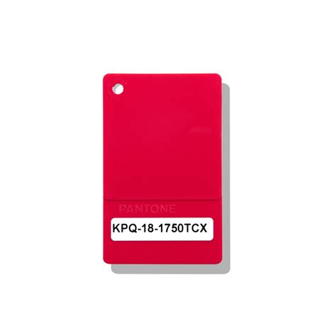Pantone® España Color Of The Year 2024 Armonías De Color