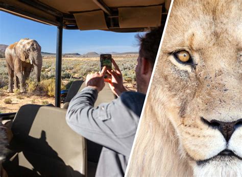 Aquila Private Game Reserve Safari • Full Day • Cape Town Safaris