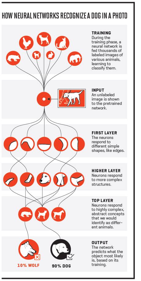 Deep Learning Feature Extractor Example By Srikanth Thunga Notes On