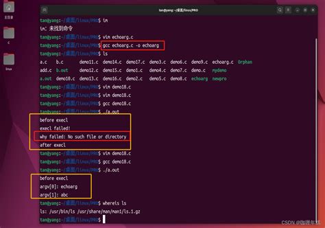 Linux系统编程之进程（exec族函数）linuxexec函数族 Csdn博客