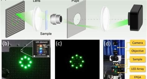 Efficient Quantitative Phase Microscopy Using Programmable Annular Led