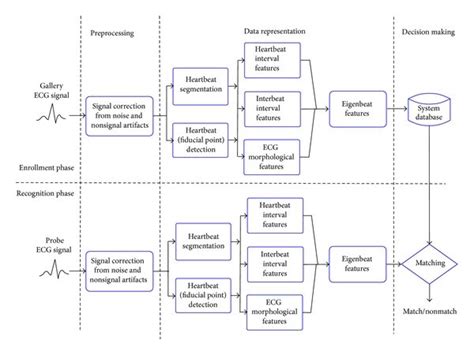 Schematic Representation Of Ecg Biometric System The System Performs Download Scientific