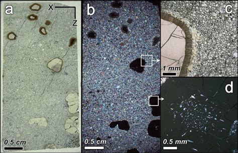Photomicrographs Of The Sklené Garnet Peridotite Illustrating Large