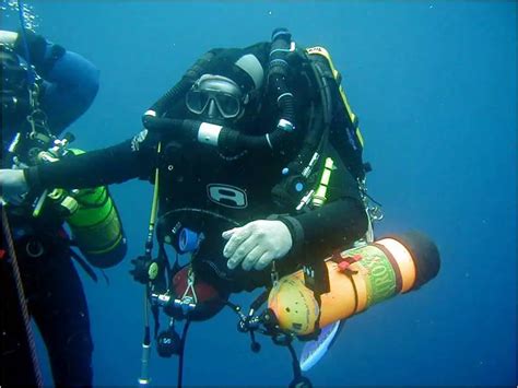 Diving Deep Sea At Angela Garland Blog