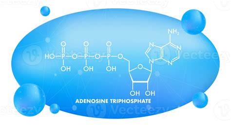 Adenosine Triphosphate Chemical Formula Floating On Blue Scientific Background 56703229 Png