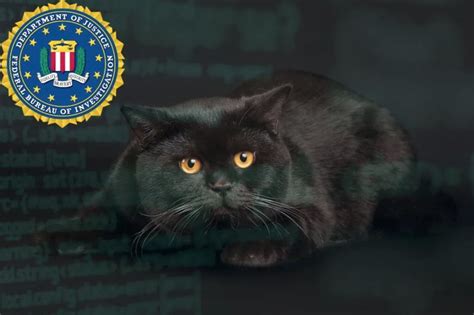 Michael Conklin On Linkedin Alphv Ransomware Gang Creates Searchable