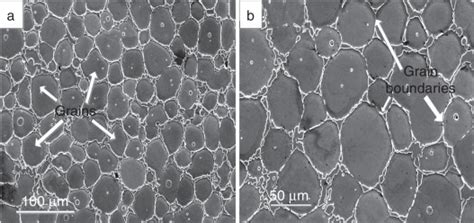 Typical Sem Image Shows A Grains Of The Developed Clad And B Grain