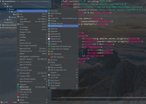 Idea Jdk9没有module Infojava的解决方法idea没有module Infojava Csdn博客