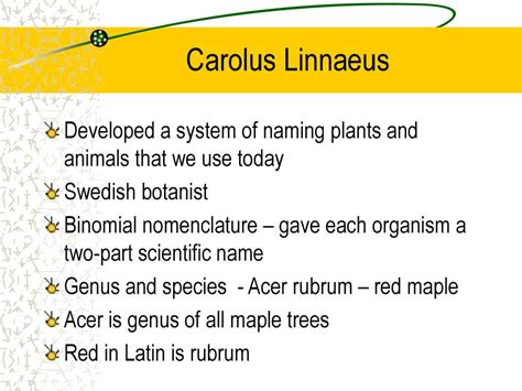 Classification Systems Ppt Download
