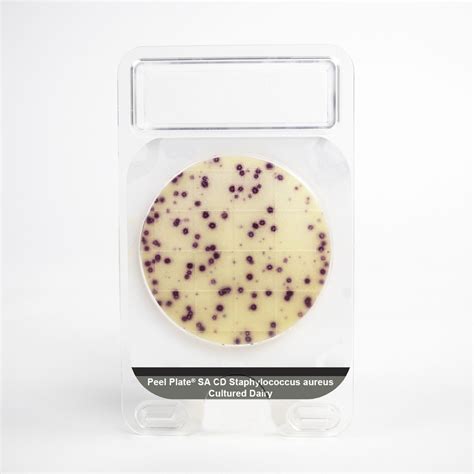 Staphylococcus Aureus Plate