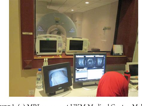 Figure 1 From Round Randomized Learning Vector Quantization For Brain Tumor Imaging Semantic