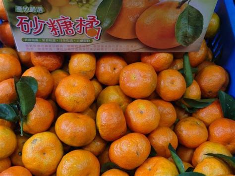 【採收橘香！拉拉山上的黃金砂糖橘】高山種植 香甜多汁 果粒飽滿 3斤裝x8盒 Owlting Market 奧丁丁市集