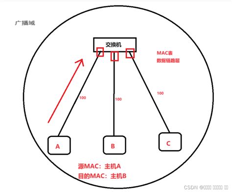 以太网mac地址、帧、交换机和基本配置ethernet Mac Csdn博客