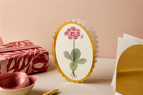 Auricula Mini Card Easton Estate And Walled Gardens