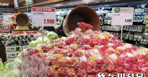 엔저에 신음하는 파프리카 농가롯데마트 못난이 ‘상생 파프리카로 판로 확대