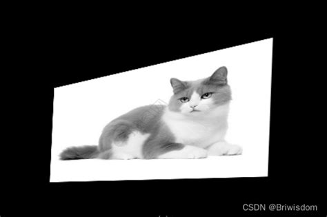记录pytorch实现自定义算子并转onnx文件输出自定义算子转onnx Csdn博客