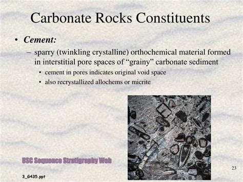 Ppt Non Terrigenous Sediments And Rocks Powerpoint Presentation Free Download Id274251