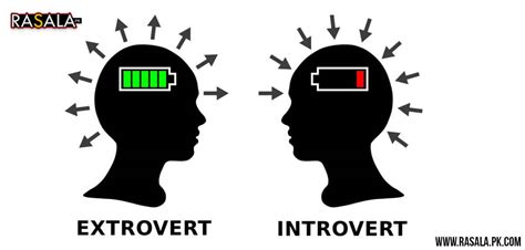 Inside Out Unveiling Your True Nature Are You An Introvert Or Extrovert Rasala