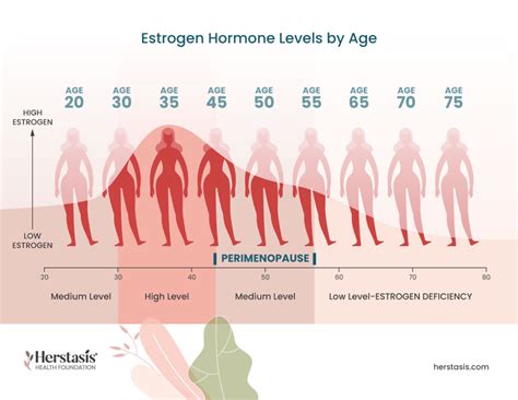 Hormones 101 The Female Endocrine System Hormones During Menopause