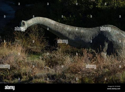 Braquiosaurus Life Size Reproduction Brachiosaurus Altithorax
