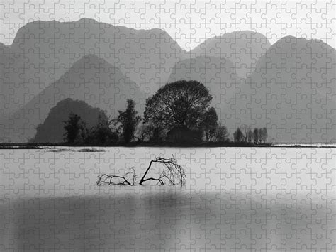 Reflection Jigsaw Puzzle By Hnh Images