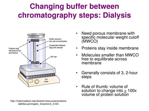 Buffer For Protein A Chromatography At Jessica Zelman Blog