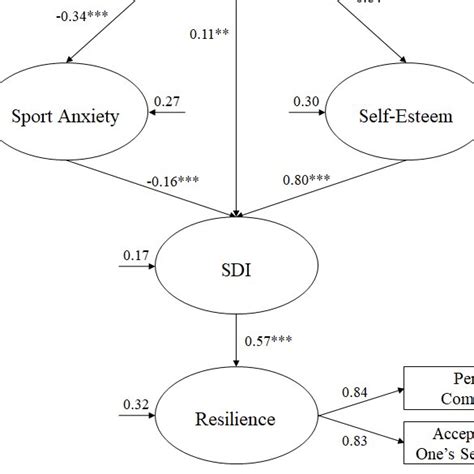 Model Of Structural Equations Showing The Relationships Between The