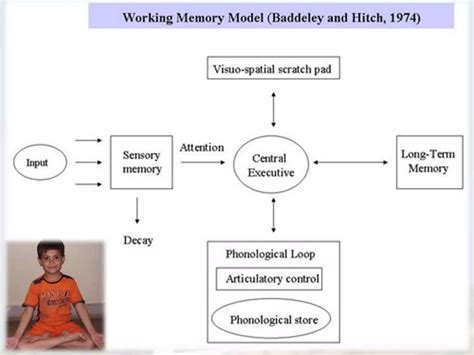 Short Term Memory Stm Ppt