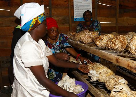 Reparar Injusticias La Onu Ayuda A Miles De V Ctimas De Abuso Sexual A