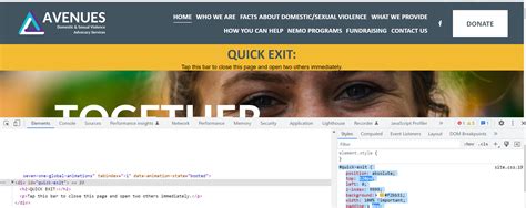 custom code help adding a quick disguised exit button to my site