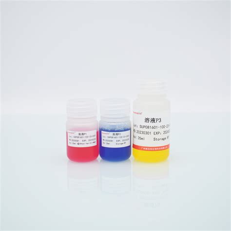 彩虹质粒小量提取试剂盒（磁珠法） 质粒提取 试剂 广州赛百纯生物科技有限公司官方网站