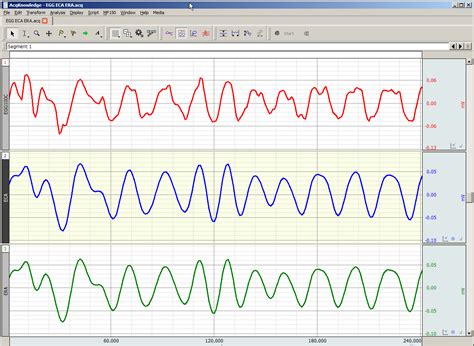 Egg Electrogastrogram Gastrointestinal Motility Analysis Research