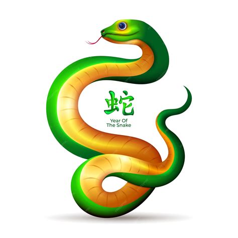 Premium Vector Snake Zodiac Sign Symbol Of Chinese New Year 2025 With