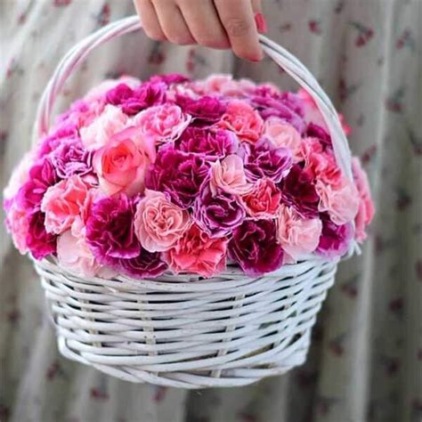 با انواع سبد گل آشنا شوید خبرآنلاین