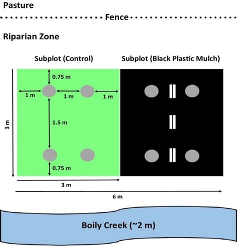 Diagram Of A Main Plot For A Single Tree Species 6 M × 3 M The Main Download Scientific