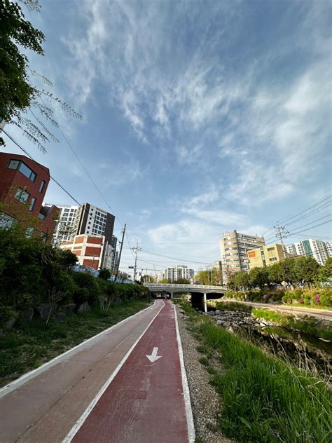 한국어강사자격증 수강하는 방법 네이버 블로그