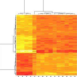 Heatmap Showing Hierarchical Clustering Of Differentially Expressed