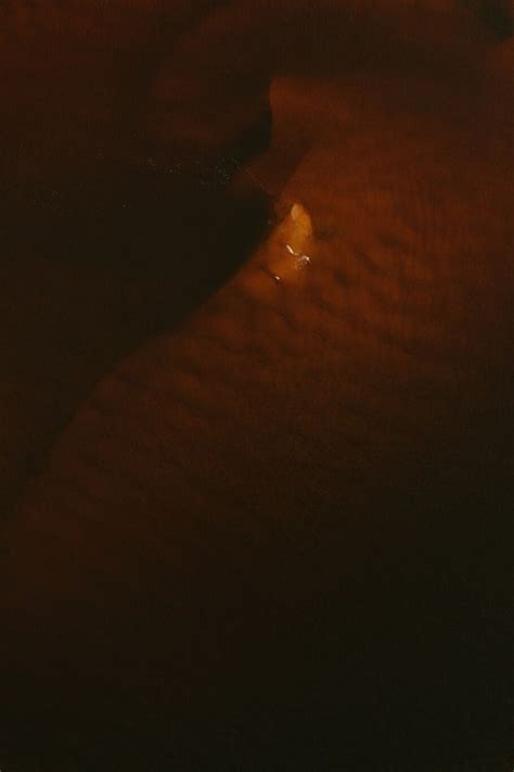 Buy Ecdysterone 90caps1000mg Australia1 Mens Health Store