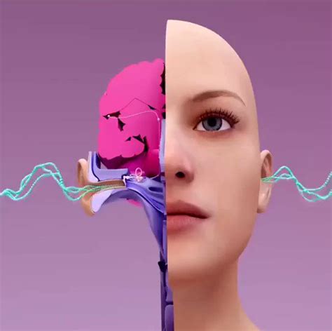 The Innovation Medicine On Twitter How Hear Sounds Credit Design