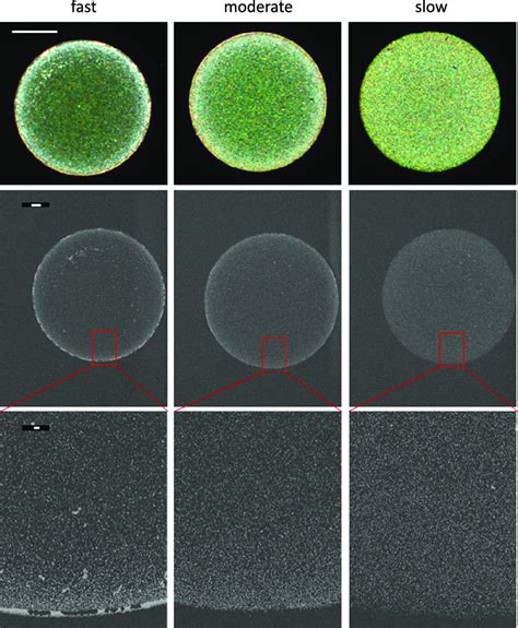 From Top To Bottom Dark‐field Microscope Image Top Scale Bar 200 μm