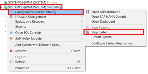 Setting Up SAP HANA System Replication With HANA Studio SAP Tutorials