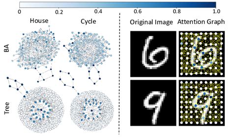 Visualizations Of Causal Attended Graphs Left Synthetic Graphs
