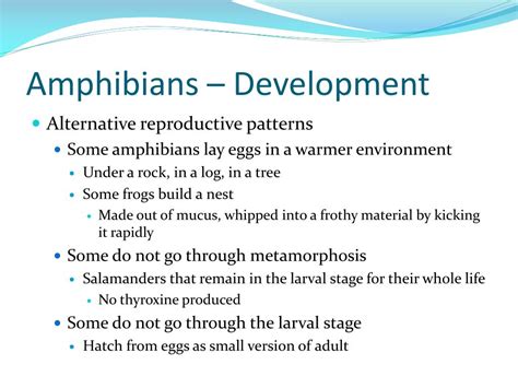 Ppt Amphibians And Reptiles Powerpoint Presentation Free Download