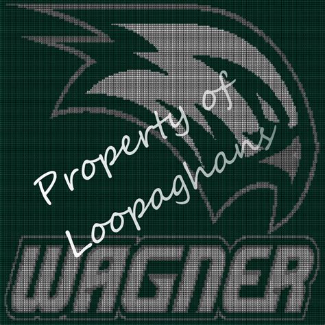 Wagner Seahawks Crochet Pattern Afghan Graph Loopaghans Custom