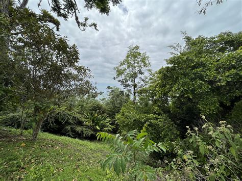 Bocas Del Toro Real Estate Properties Bocas Real Estate Group
